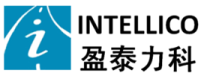 Intellico LLC - Online Store